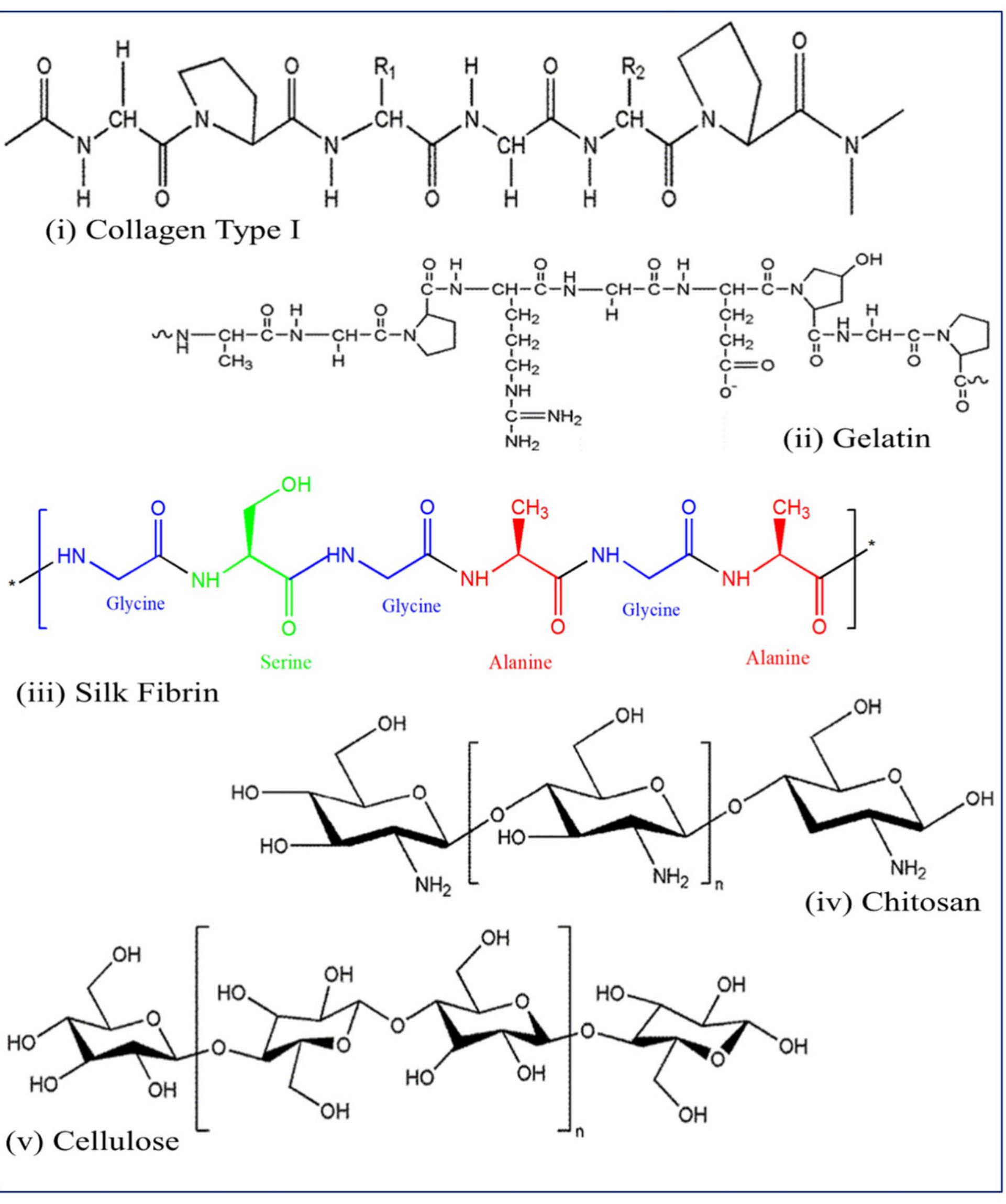 Chemical structure of natural biodegradable polymer used in