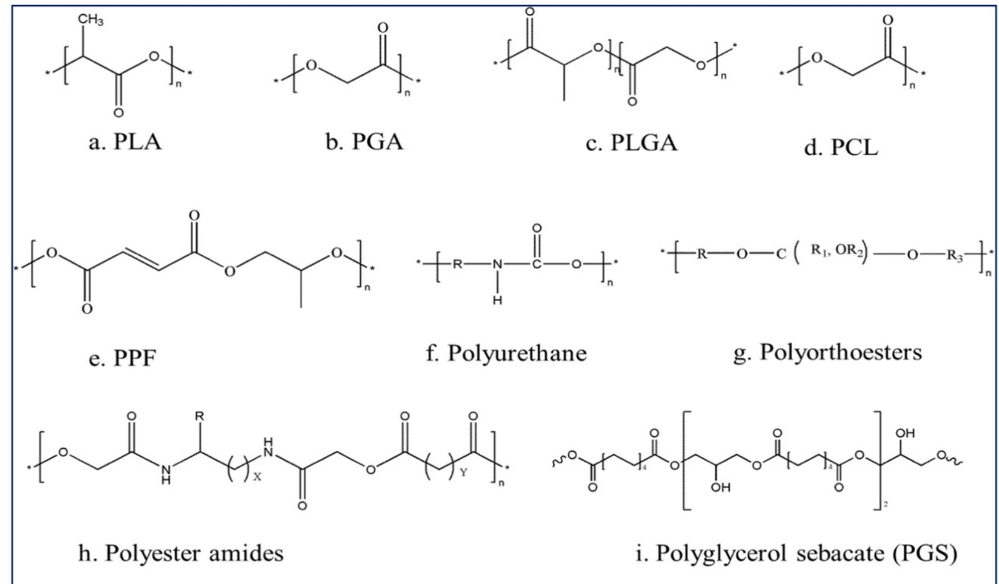 Chemical structure of synthetic biodegradable polymer used
