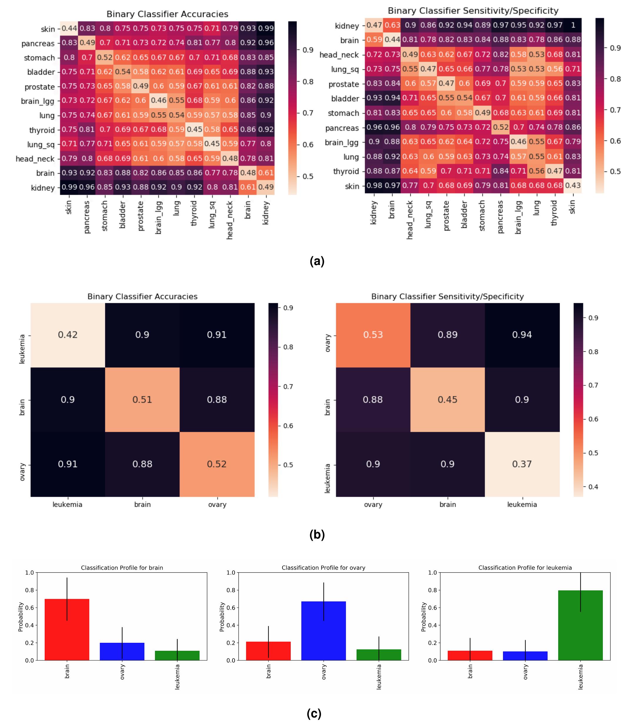Figure 4 - Breast cancer classification using machine