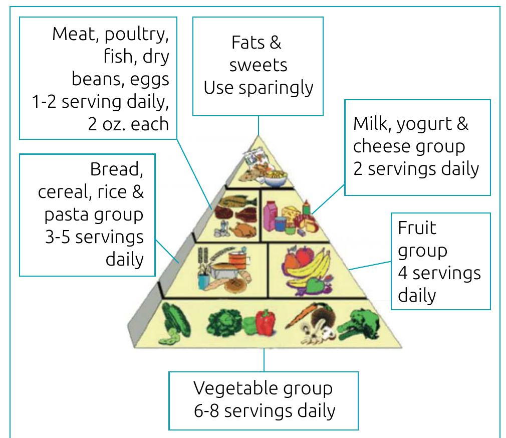 The prader-willi eating pyramid is divided into 5 groups: in