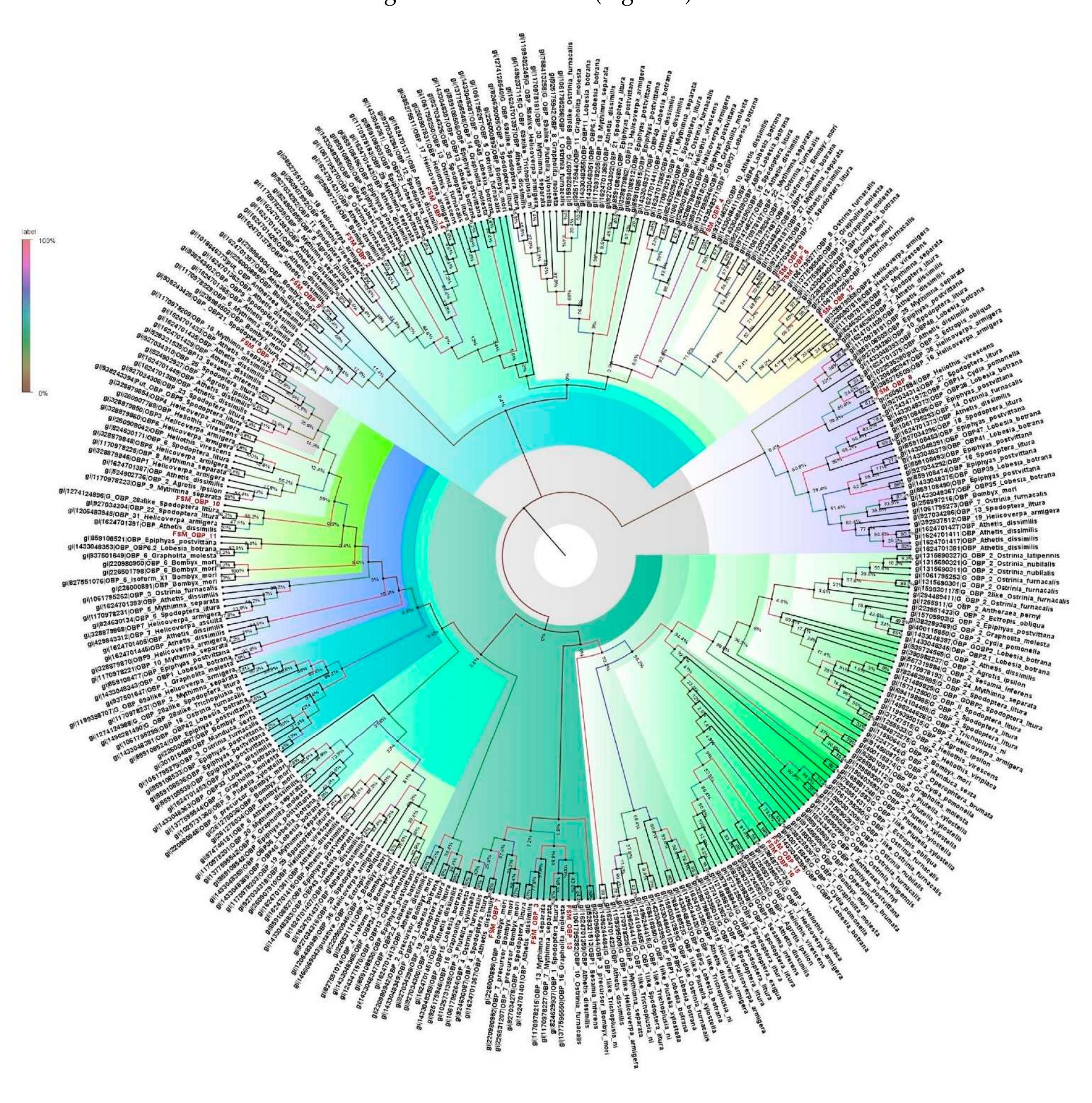 Are based on the bootstrap values. the tree with the highest