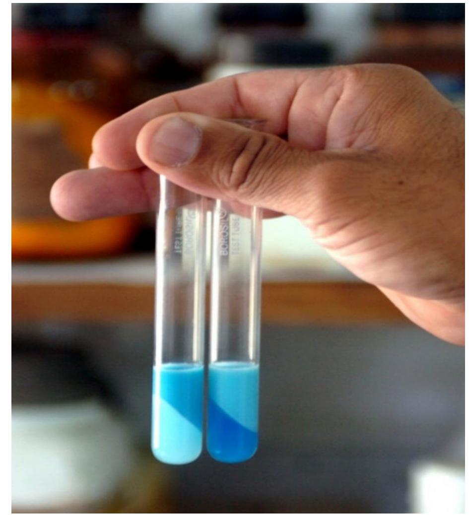 (PDF) Standard laboratory protocol on testing milk samples for quality ...