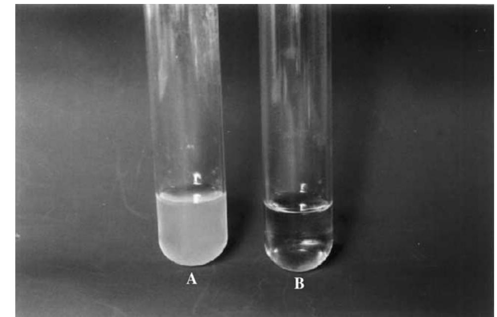 (PDF) Simplified para-nitrophenyl palmitate assay for lipases and esterases