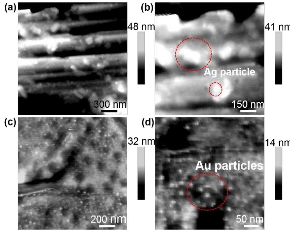 Afm topography images of silver (a), (6) and gold (c), (d)