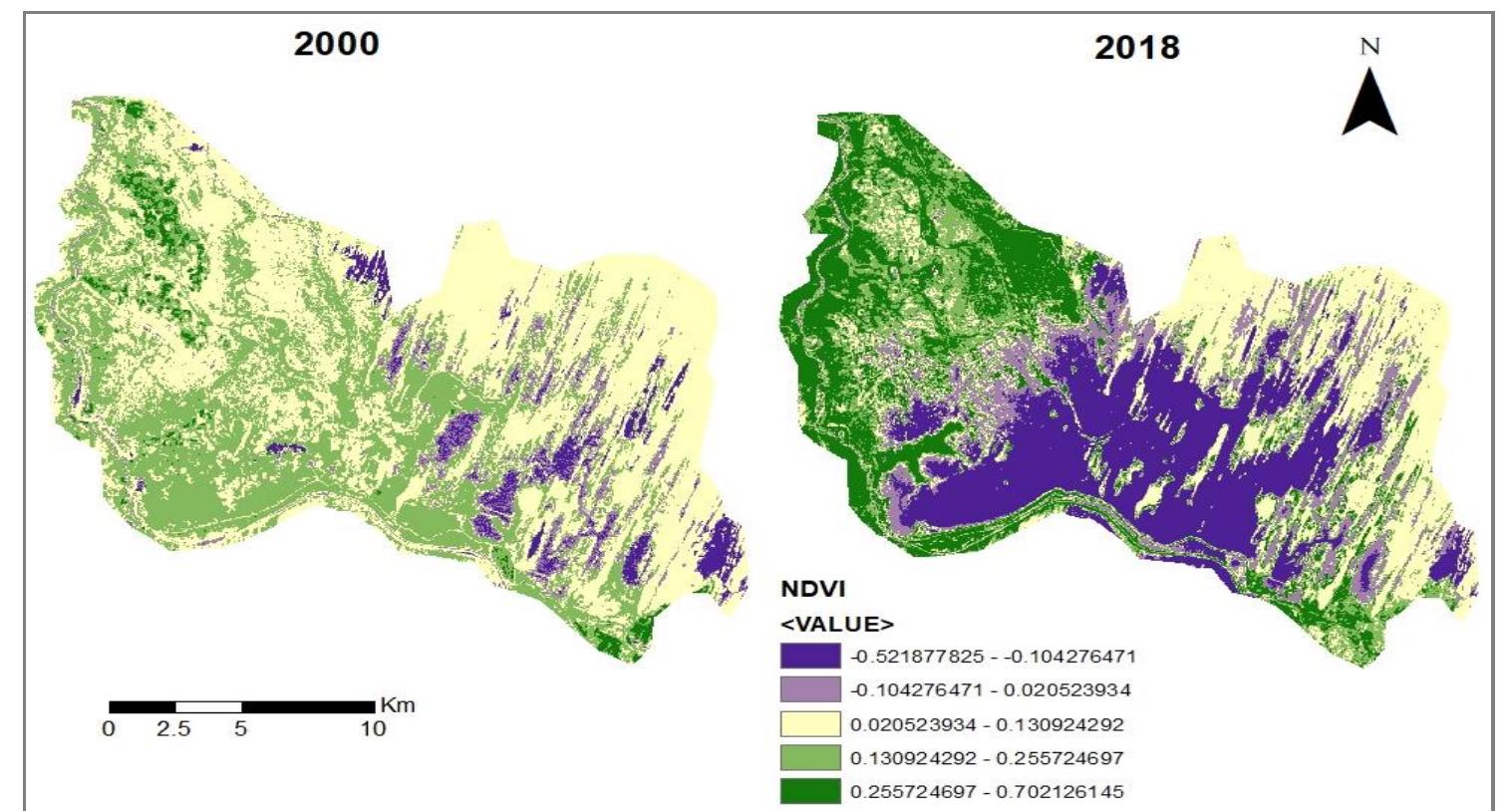 - map showing ndvi of chotiari wetland complex