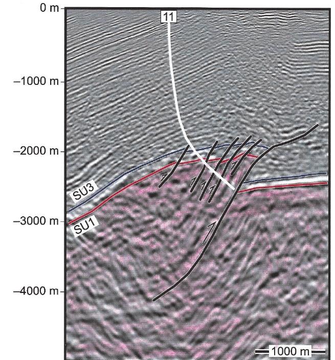 Seismic line showing the location of the suban-11