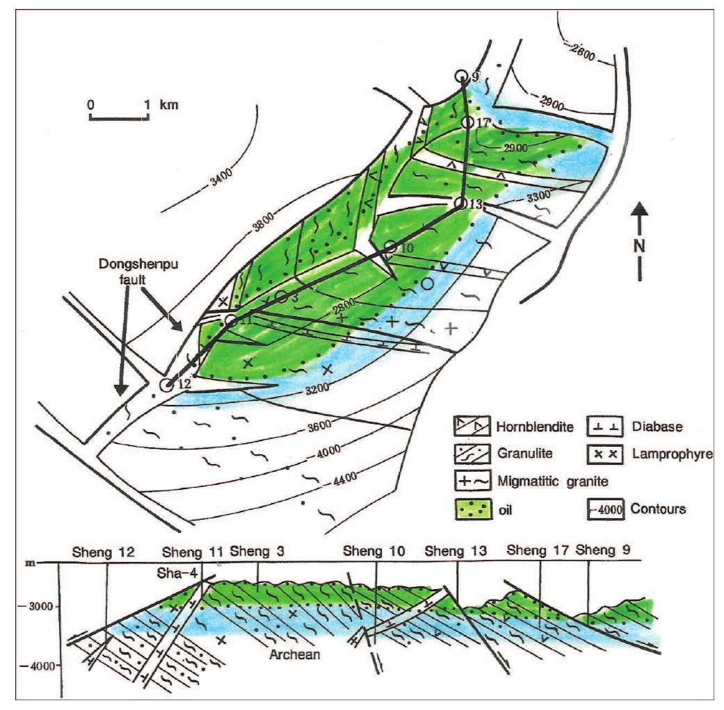 Structural cross-section through the dongshenpu oil field.