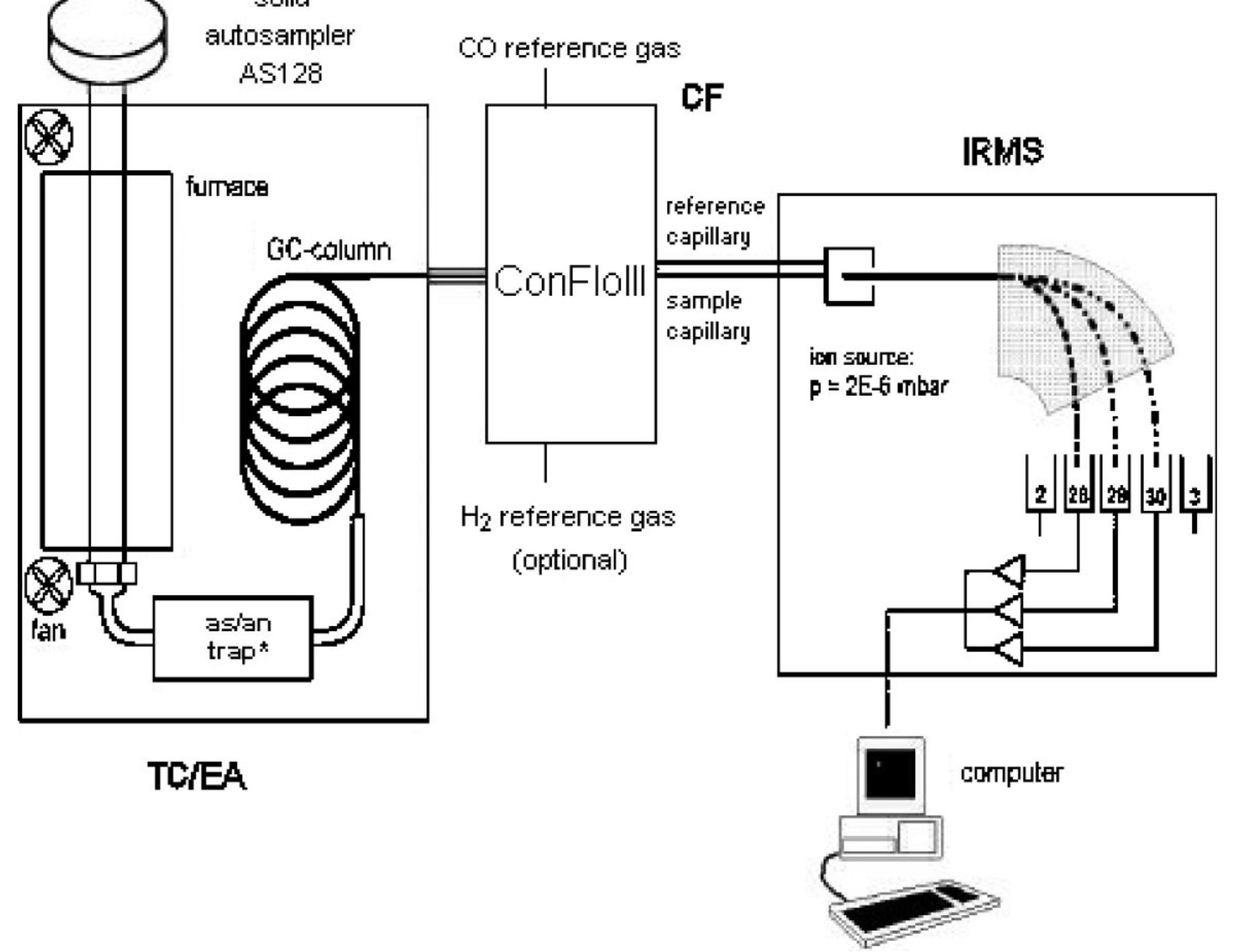 Schematic diagram of the thermal combustion/elemental
