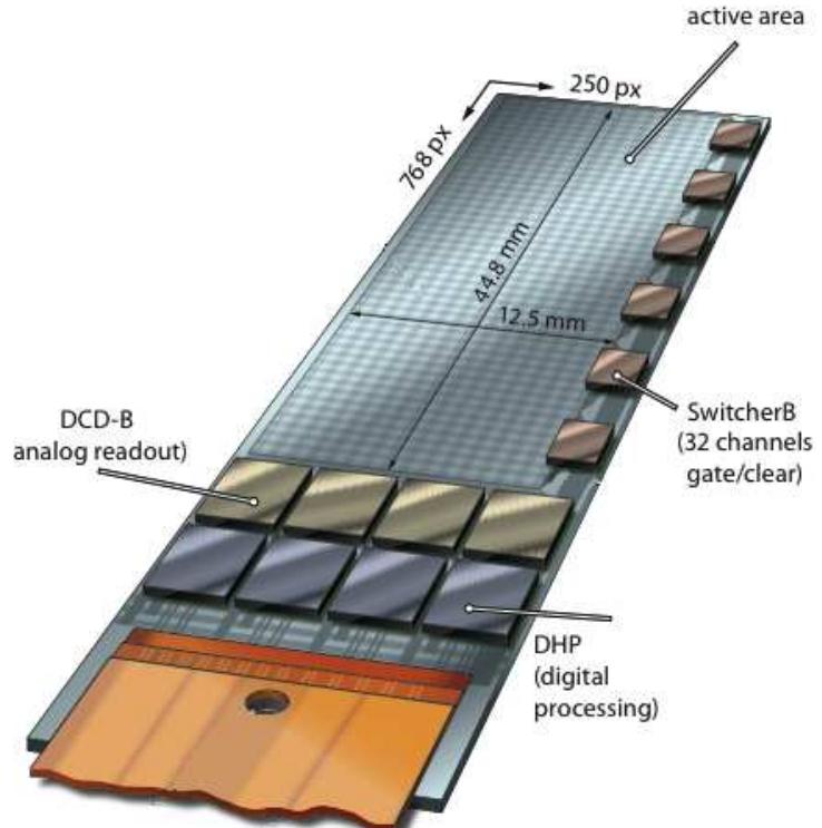 13: the layout of a depfet half ladder [81]. a module