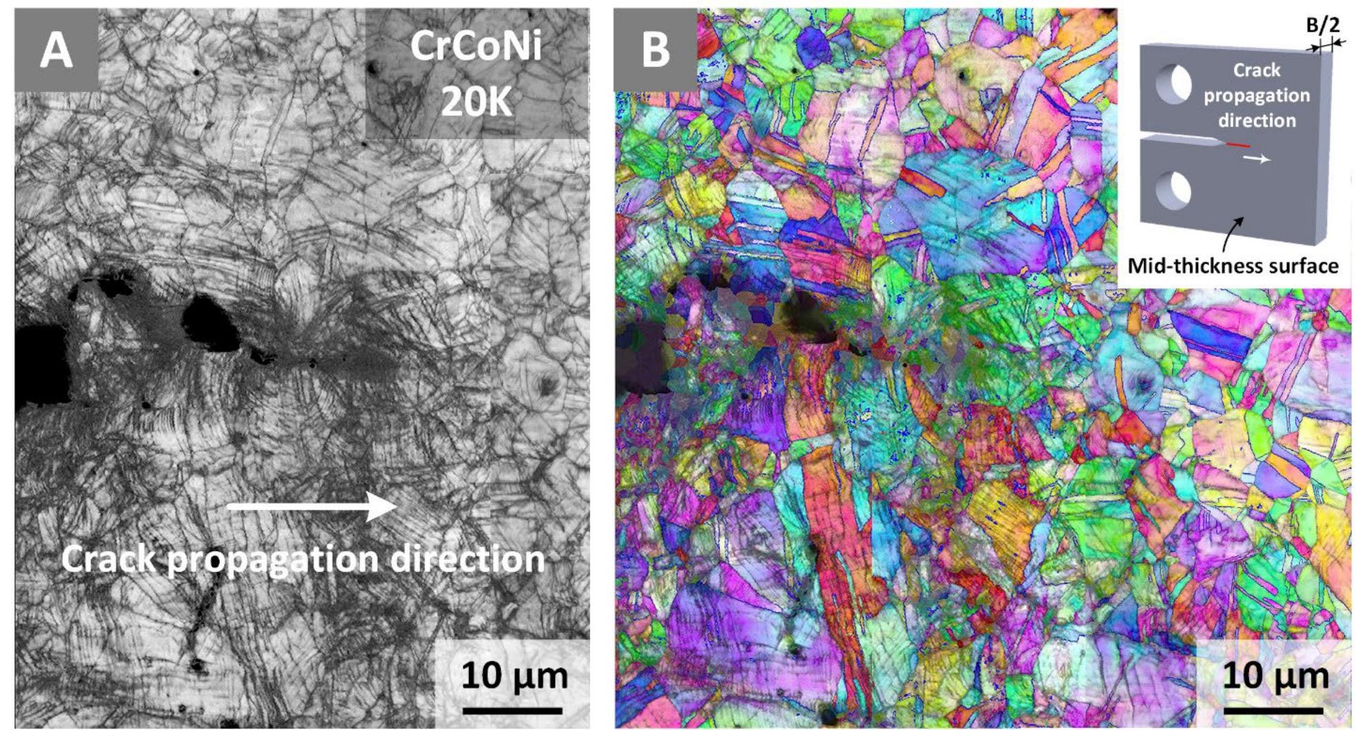 Electron backscatter diffraction (ebsd) (a) image quality