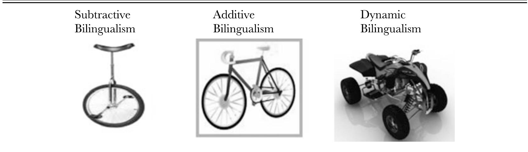 Types of bilingualism note. this figure is adapted from