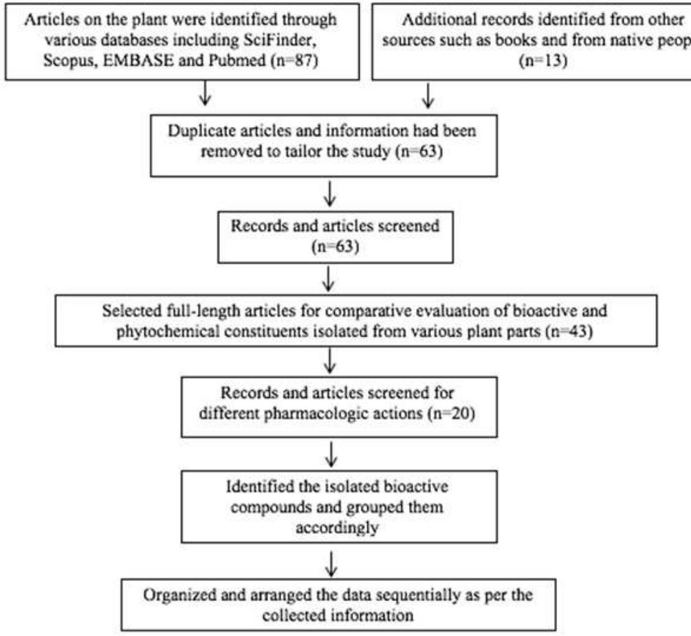 Prisma chart on themethodology of the study