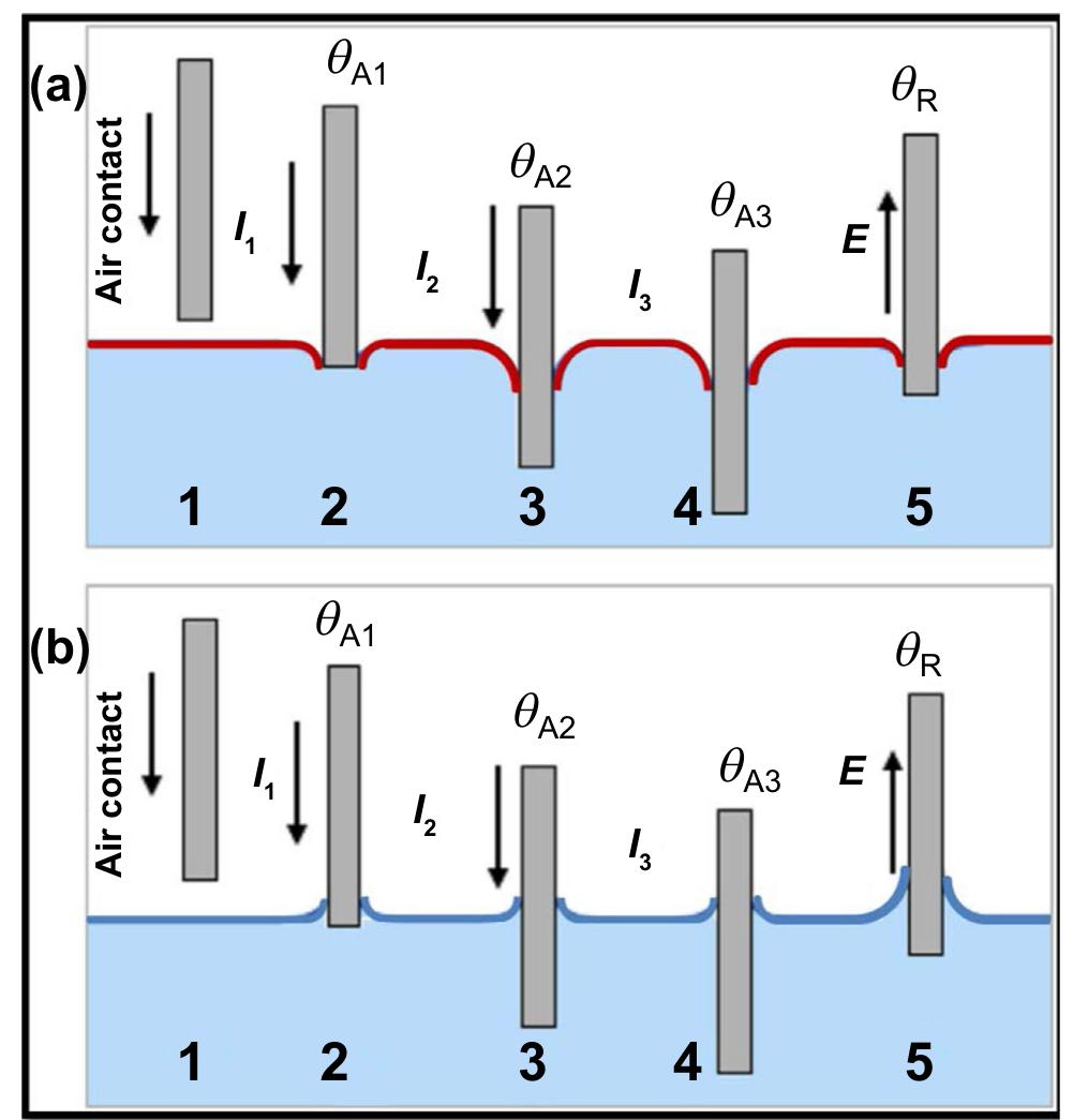 Pictorial representation of sequence of immersion and