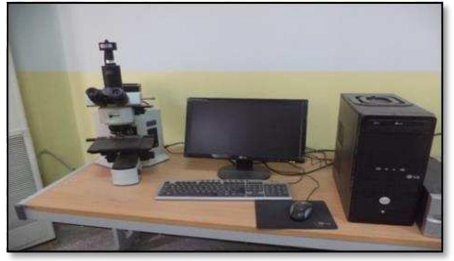 Low lighting microscope used for surface roughness