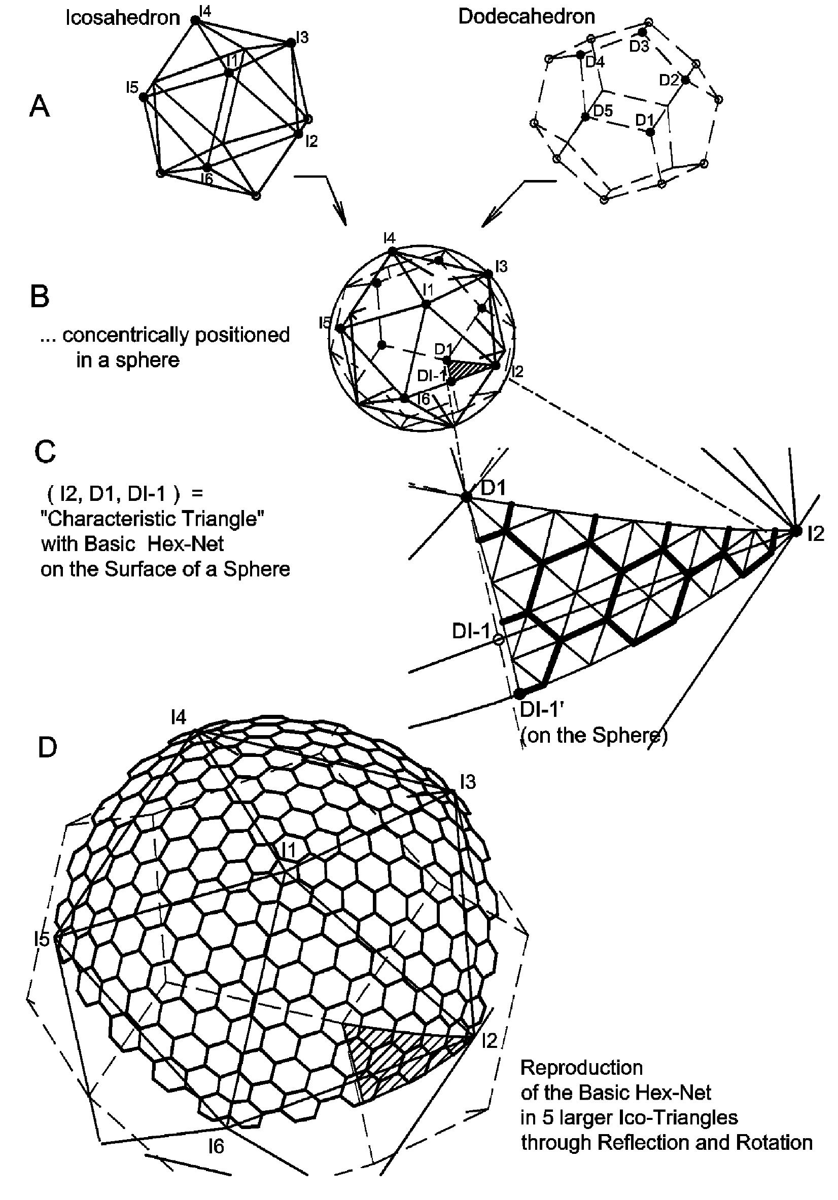 Basics of the geometry for the eden domes the key steps to