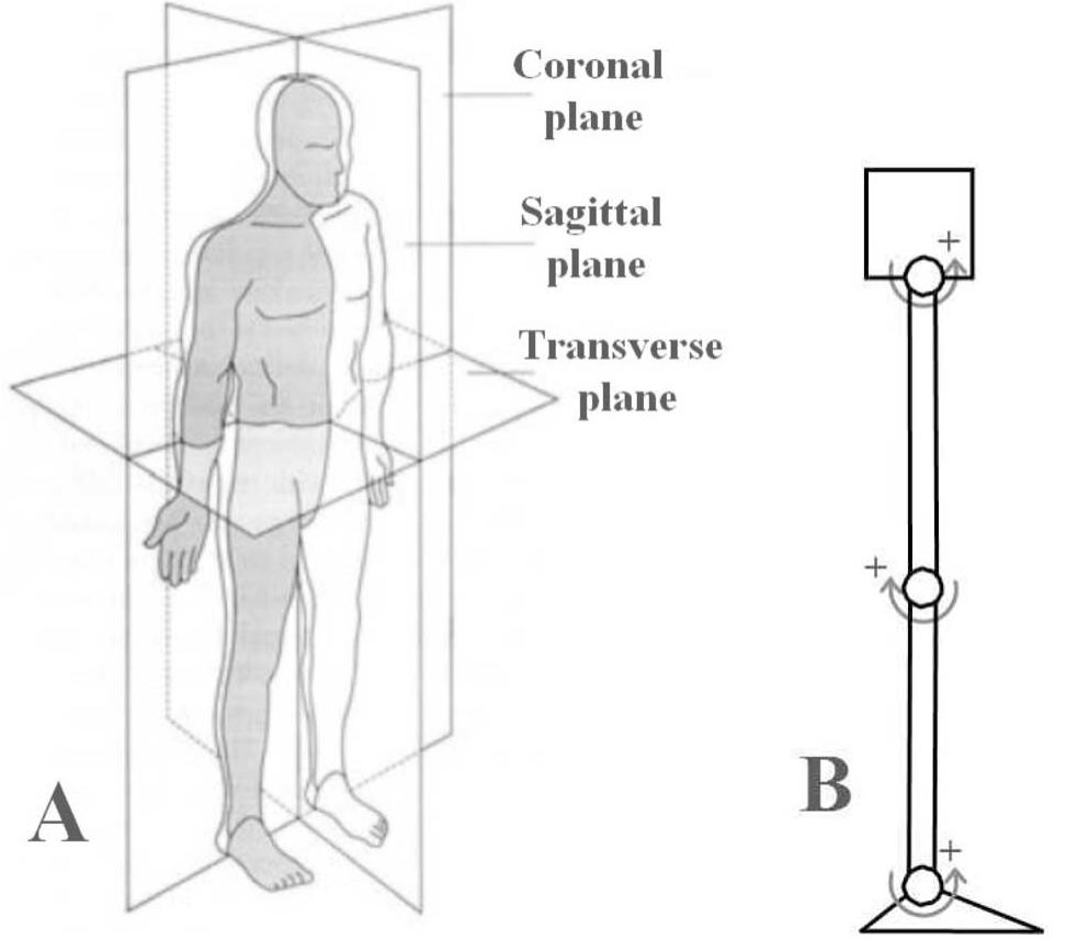 (a) description of the anatomical planes. (b) diagram of the