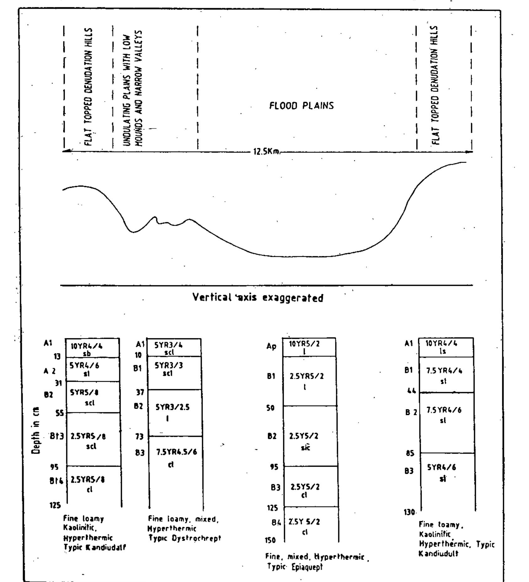 Representative cross-section of landforms and soils in south