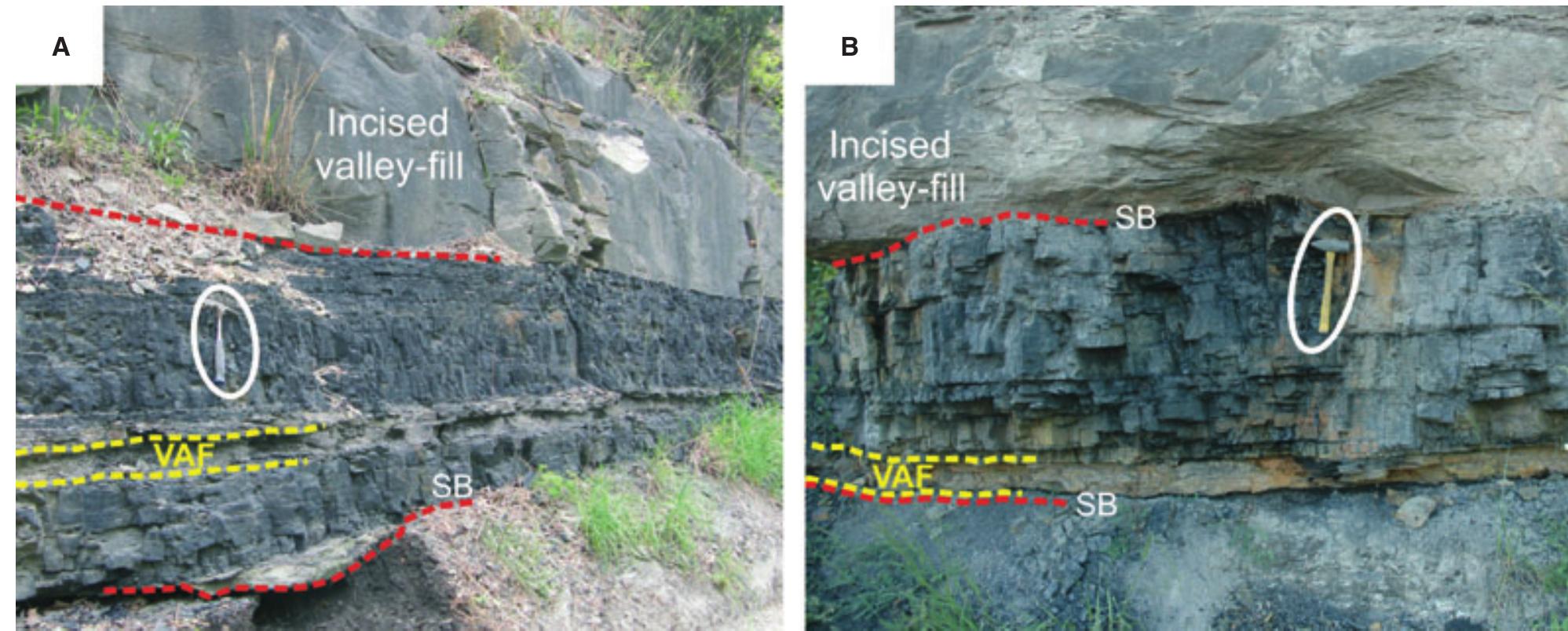 Outcrop photographs of the fire clay coal. (a) volcanic