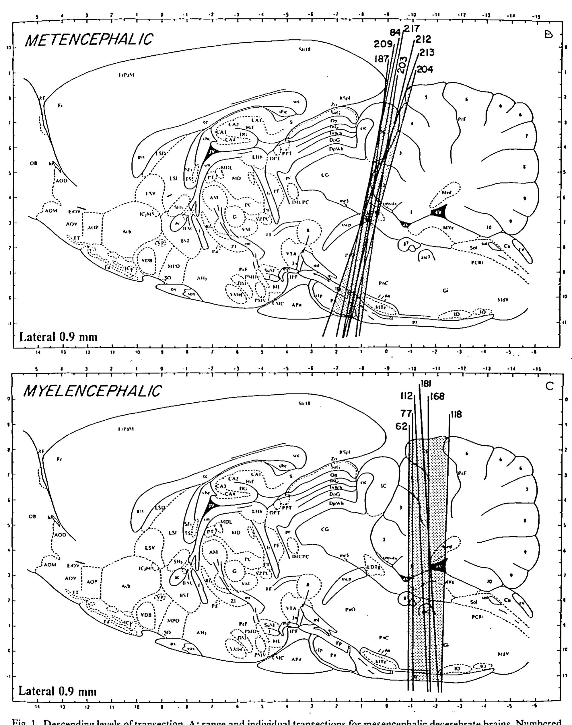 Figure 2 - Progressive degradation of serial grooming chains
