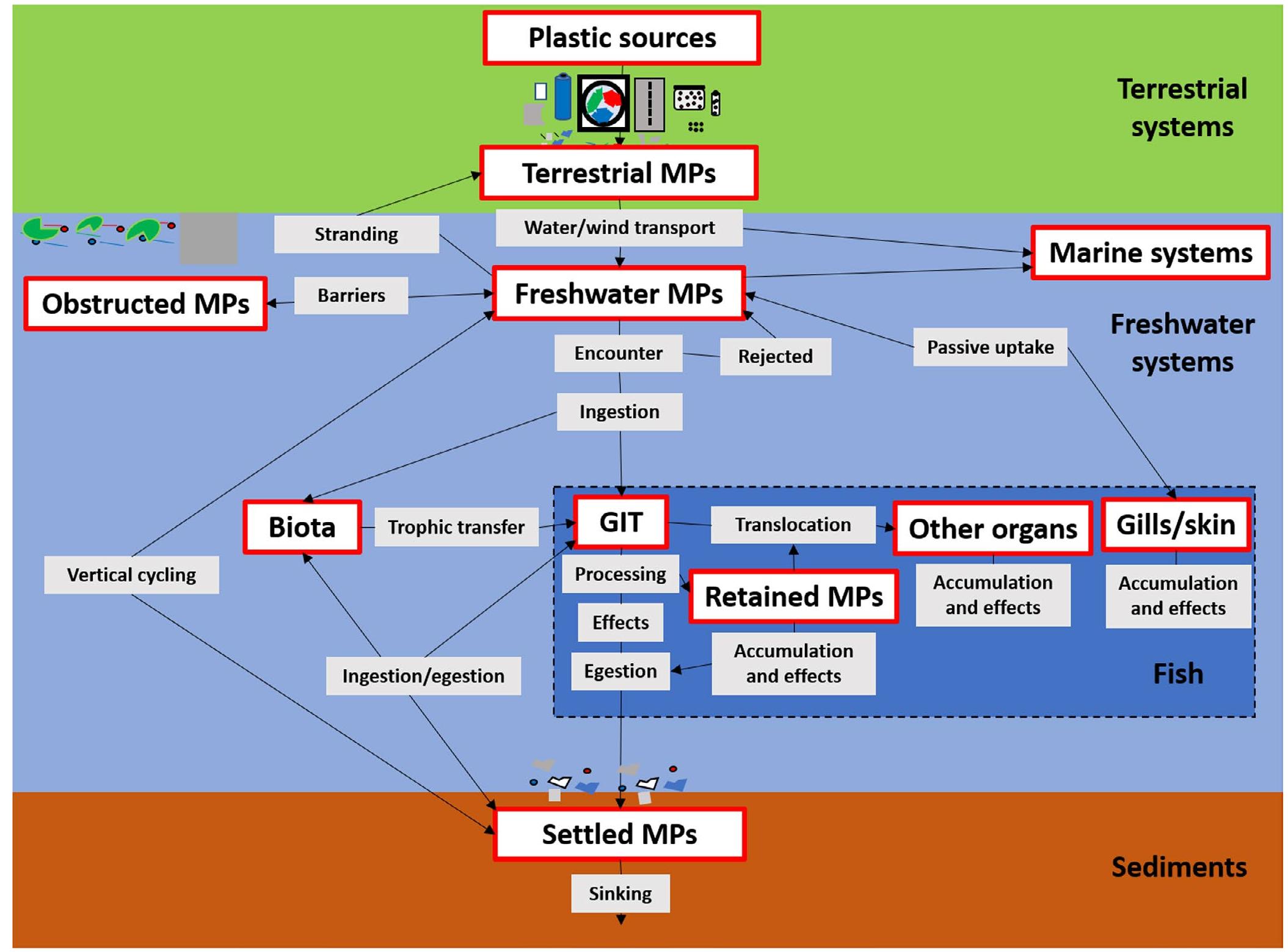 Generalized overview of microplastics in freshwater fishes