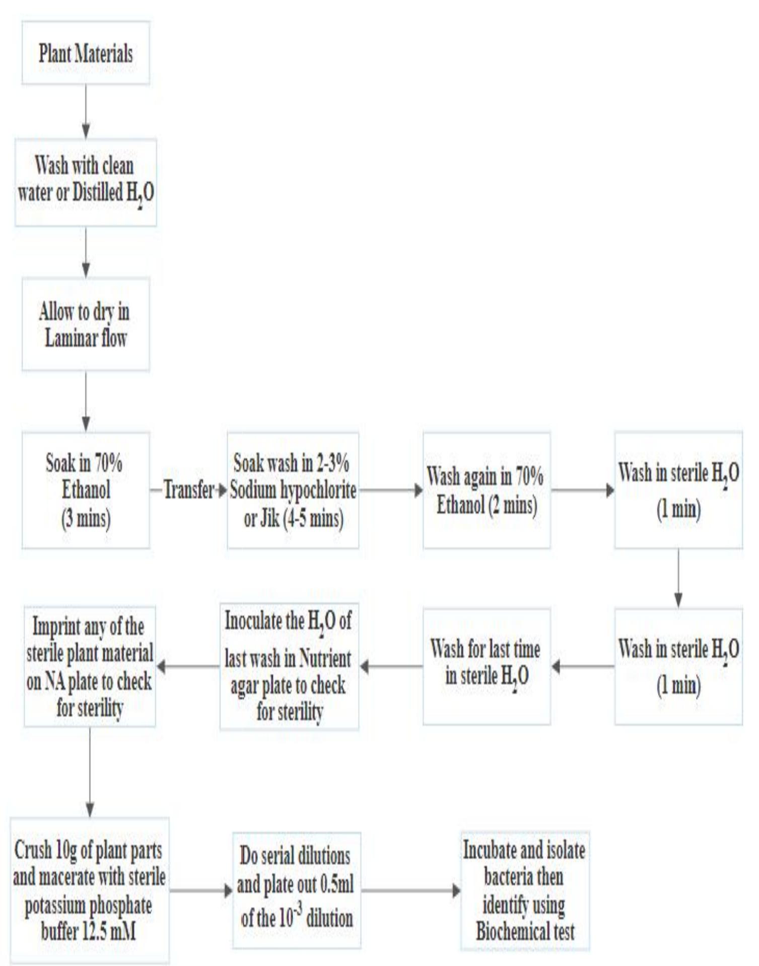 Plate 1. schematic diagram showing procedure for isolation