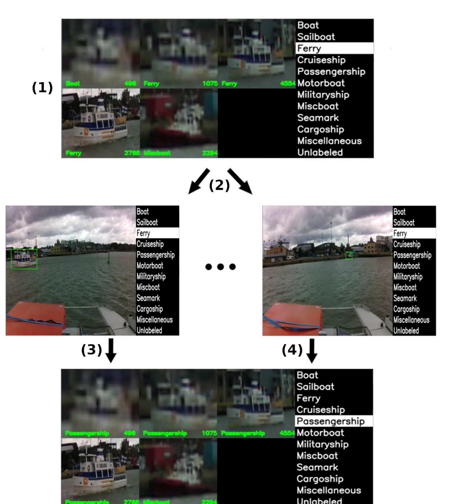 The relabelling process utilized our relabelling software