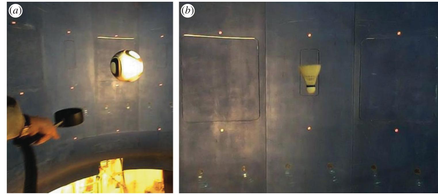 Terminal velocity measurements performed in the vertical