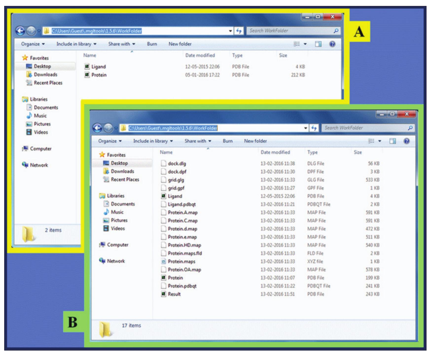 (PDF) A Handbook on Protein-Ligand Docking Tool: AutoDock 4