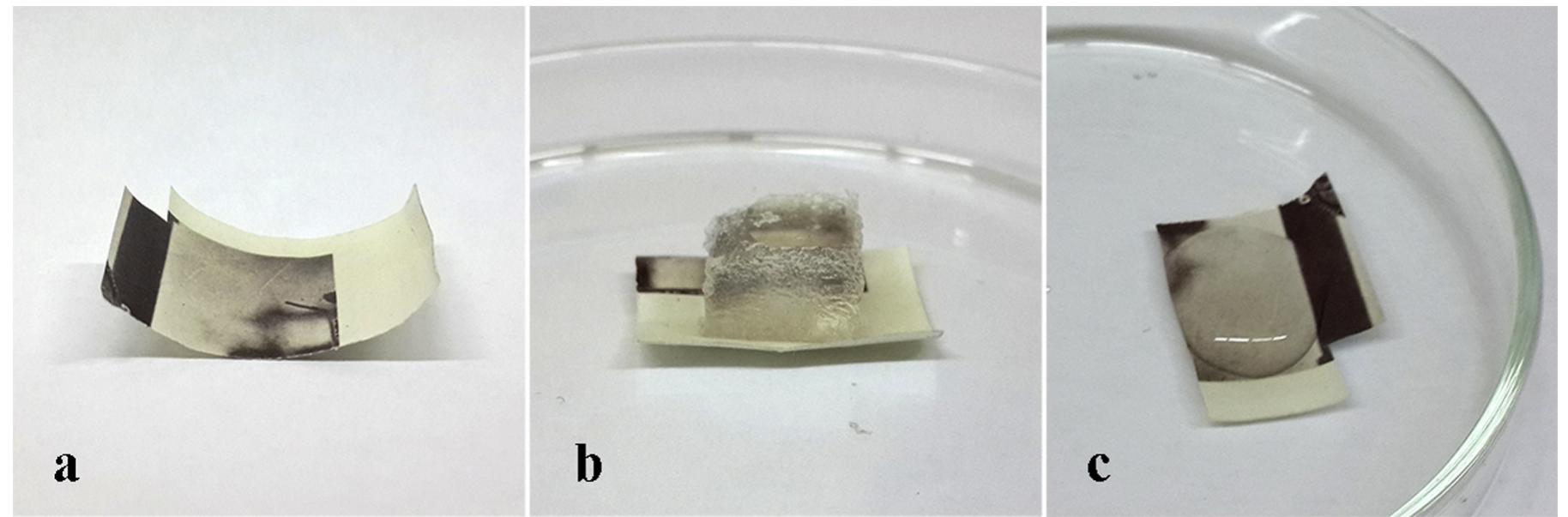 Wet treatment of albumen photograph surface; a: untreated