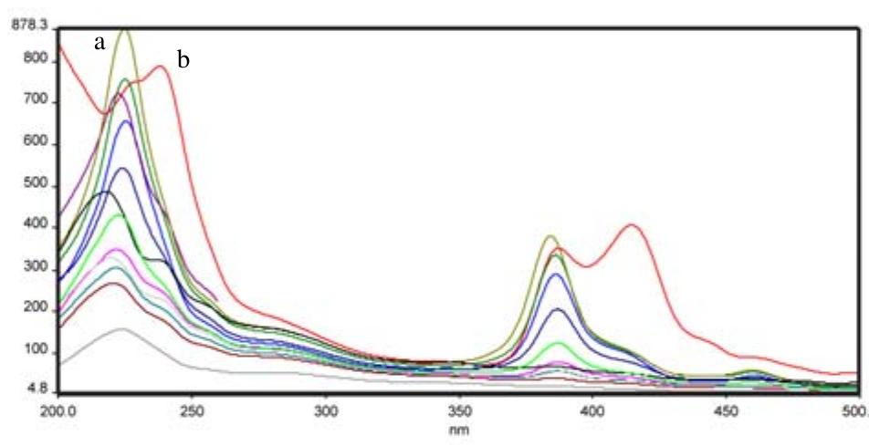Synchronous fluorescence spectra of different concentra-