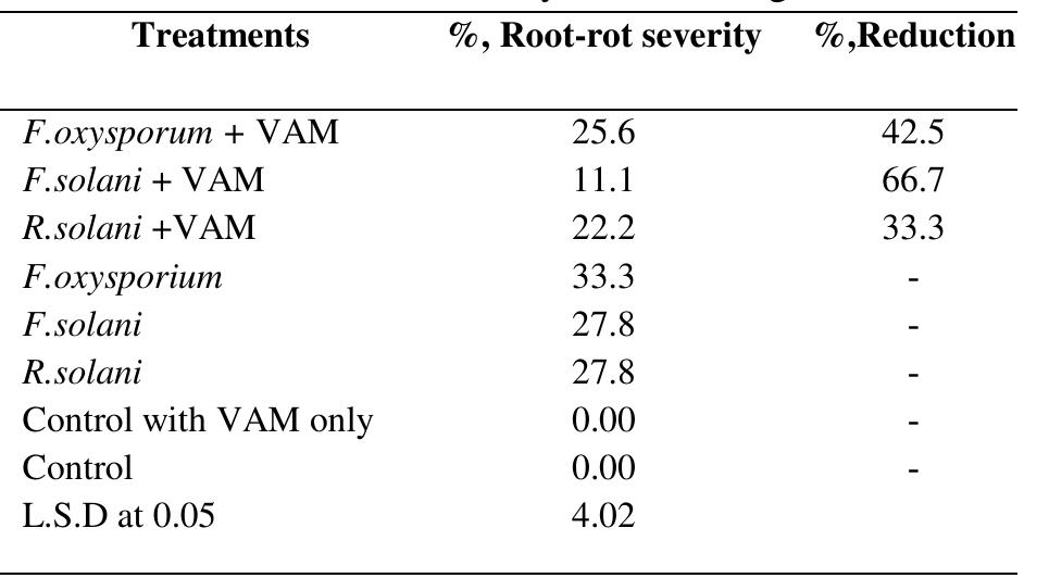 Effect of vascular arbuscular mycorrhizal fungus (glomus