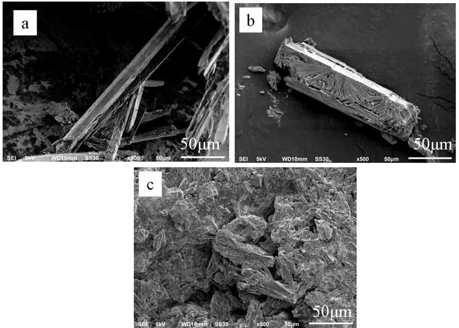 Morphography of calcium sulfate scale obtained from blank