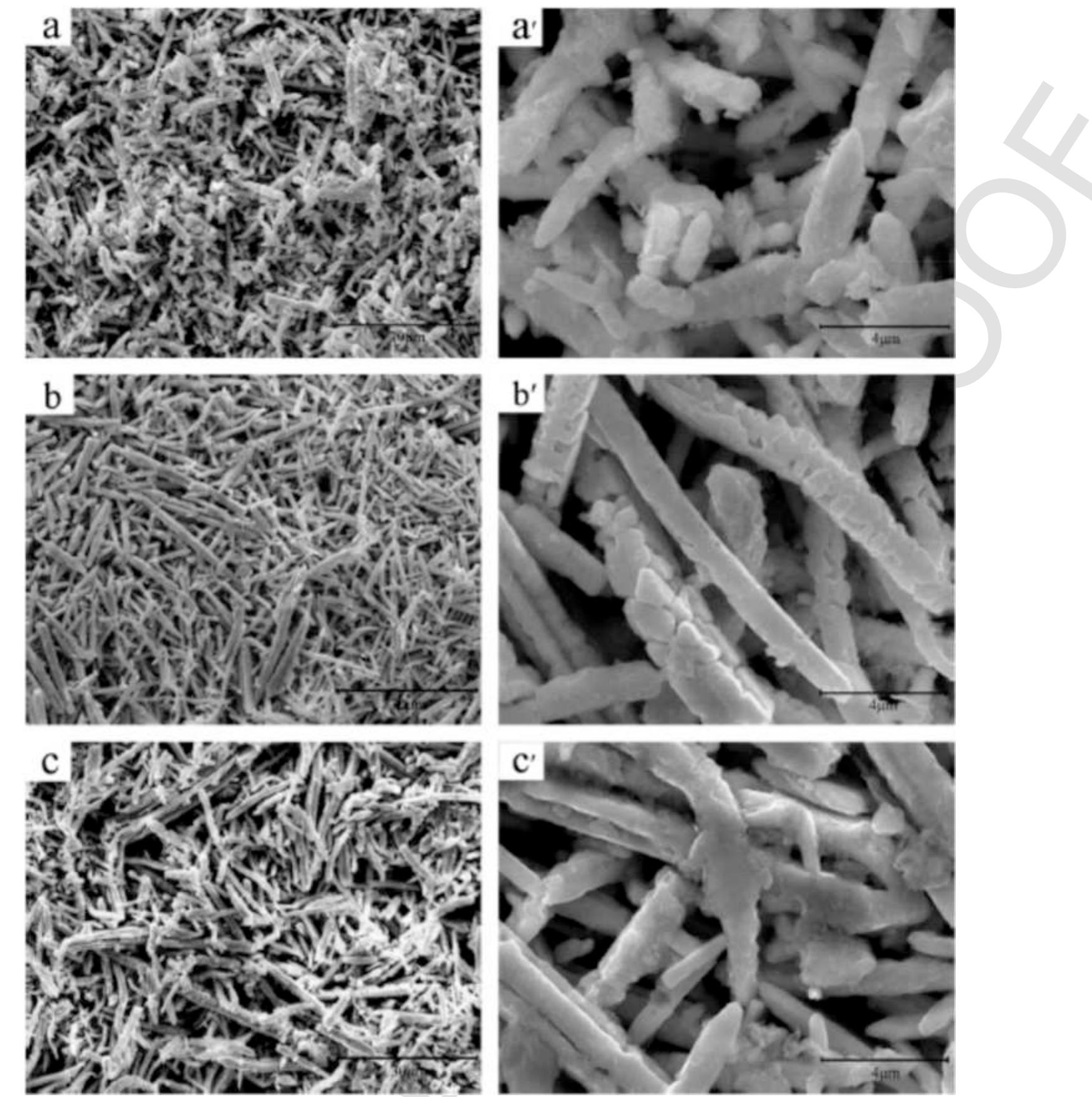 ‘ig. 6. sem micrographs of lead deposits at 100 a m ~ at
