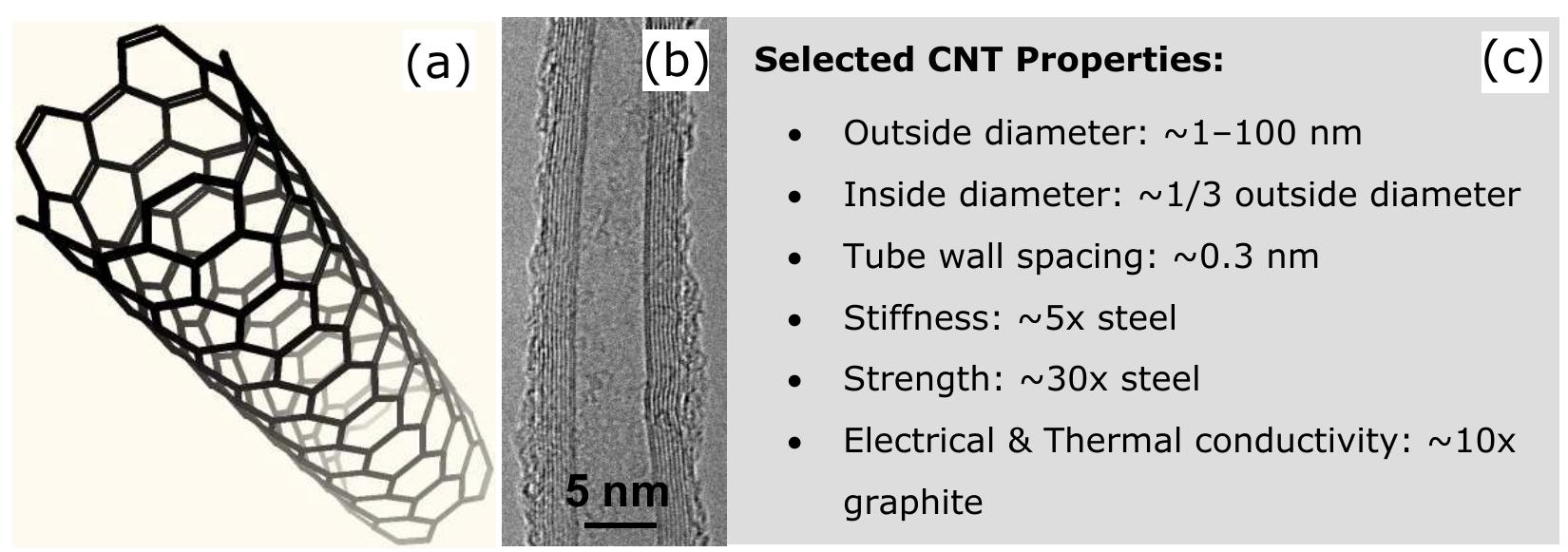 (a) schematic of a cnt, (b) tem image of a cnt showing a