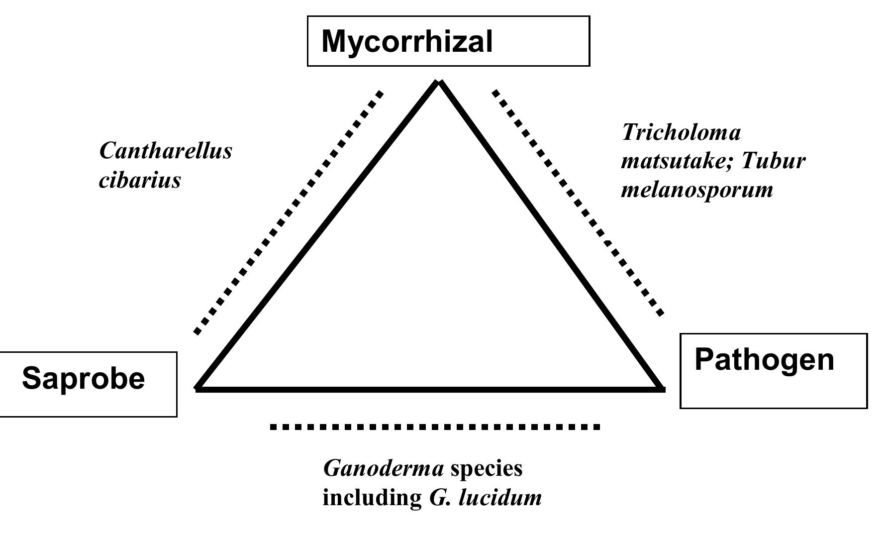 Figure 2 - from "training manual on Mushroom Cultivation