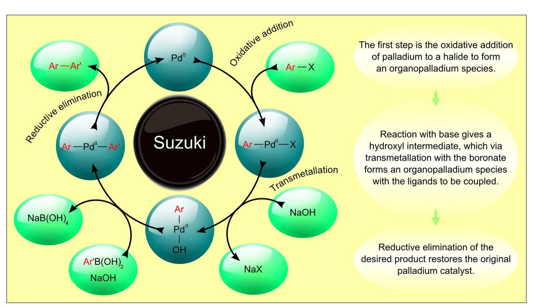 Chart 2. mechanism of suzuki coupling