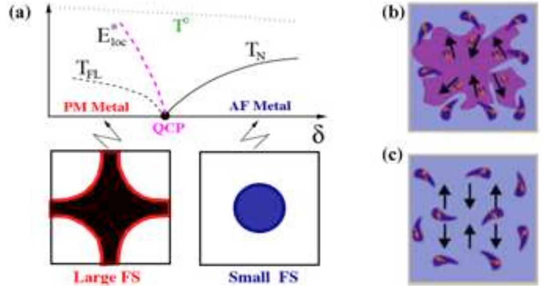 ‘igure 4. (a) schematic phase diagram for local quantum