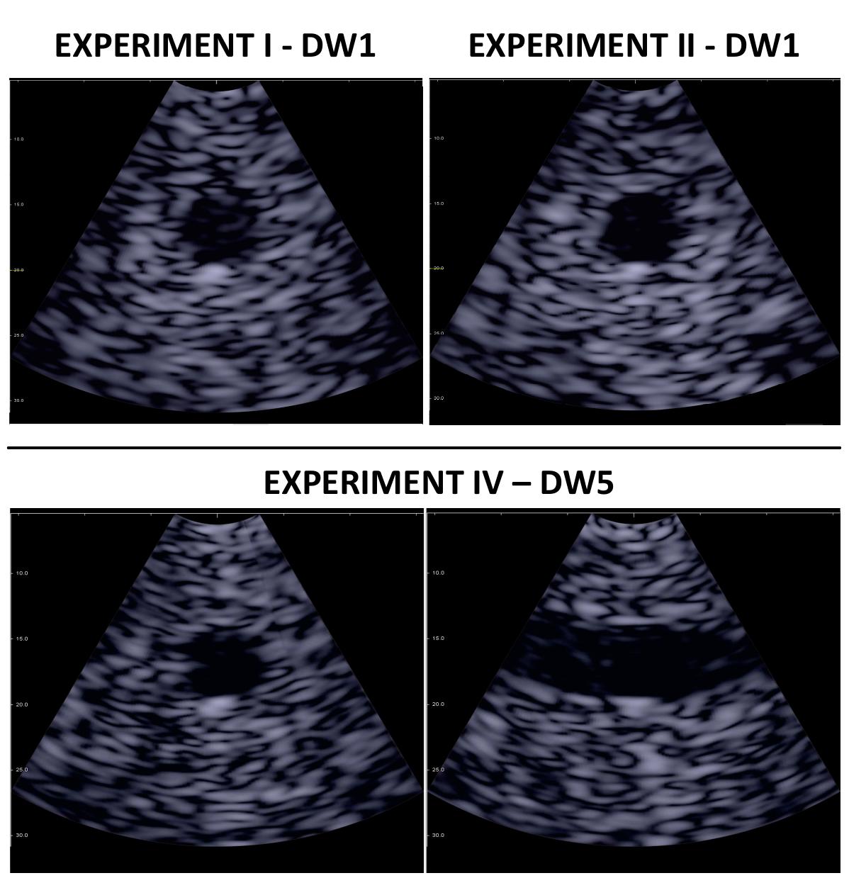 Sample screenshots of the real-time user interface of ula-op