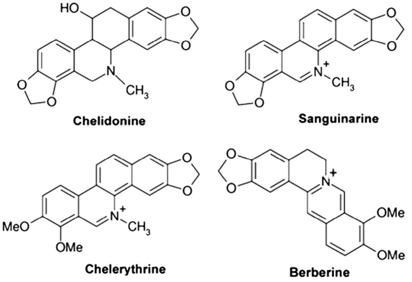 Chemical structure of main c. majus alkaloids.
