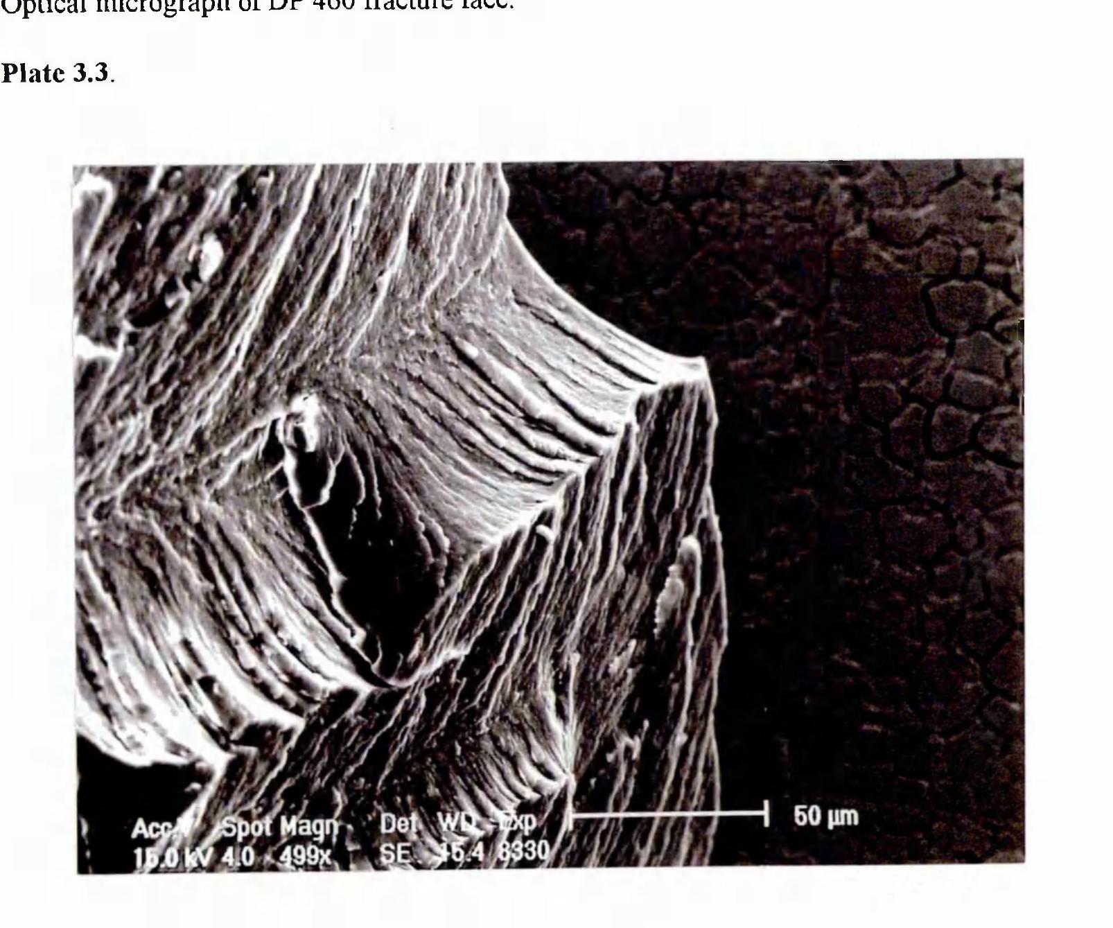 Scanning electron micrograph of dp 460 fracture face.
