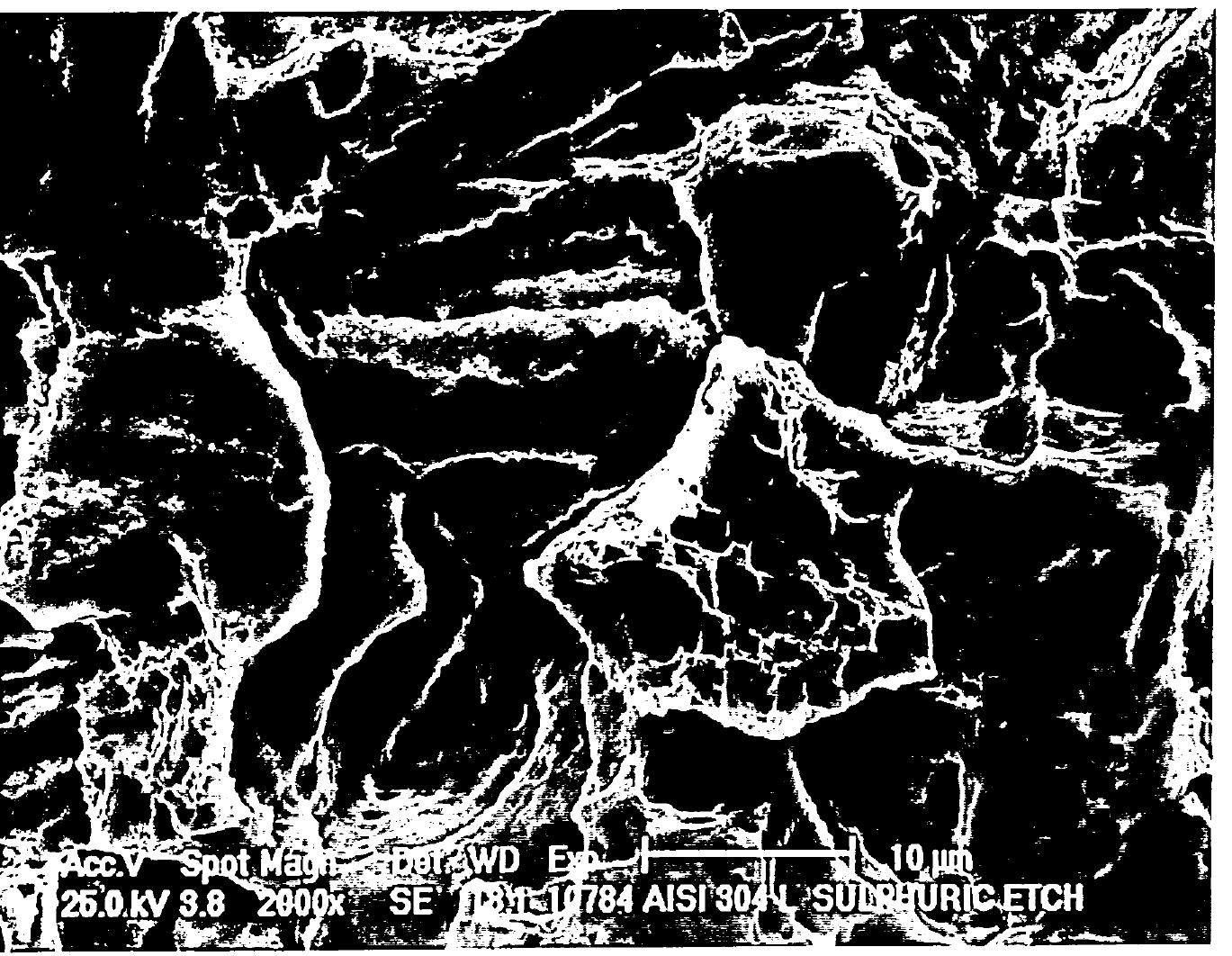 Plate 8.4. scanning electron micrograph of aisi 304l