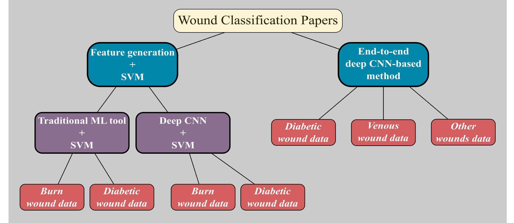 Organization chart for the wound classification papers.