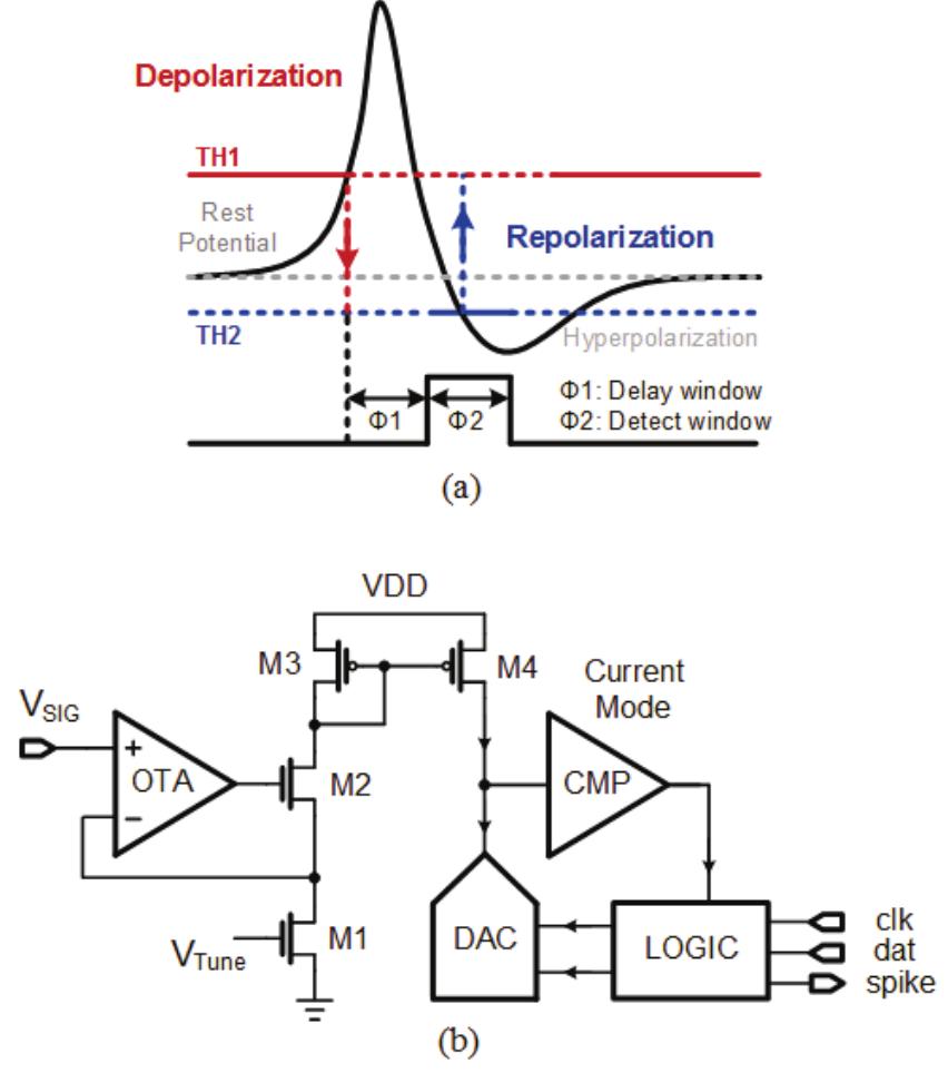 (a) illustration of the action potential detection