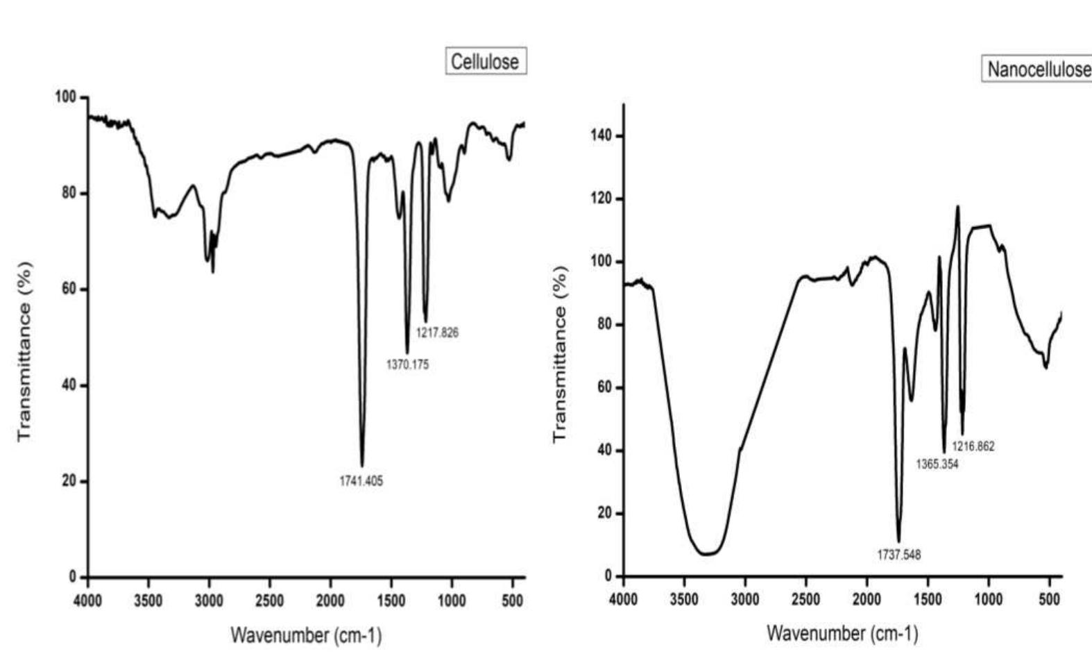 Ftir spectra of cellulose and nanocellulose