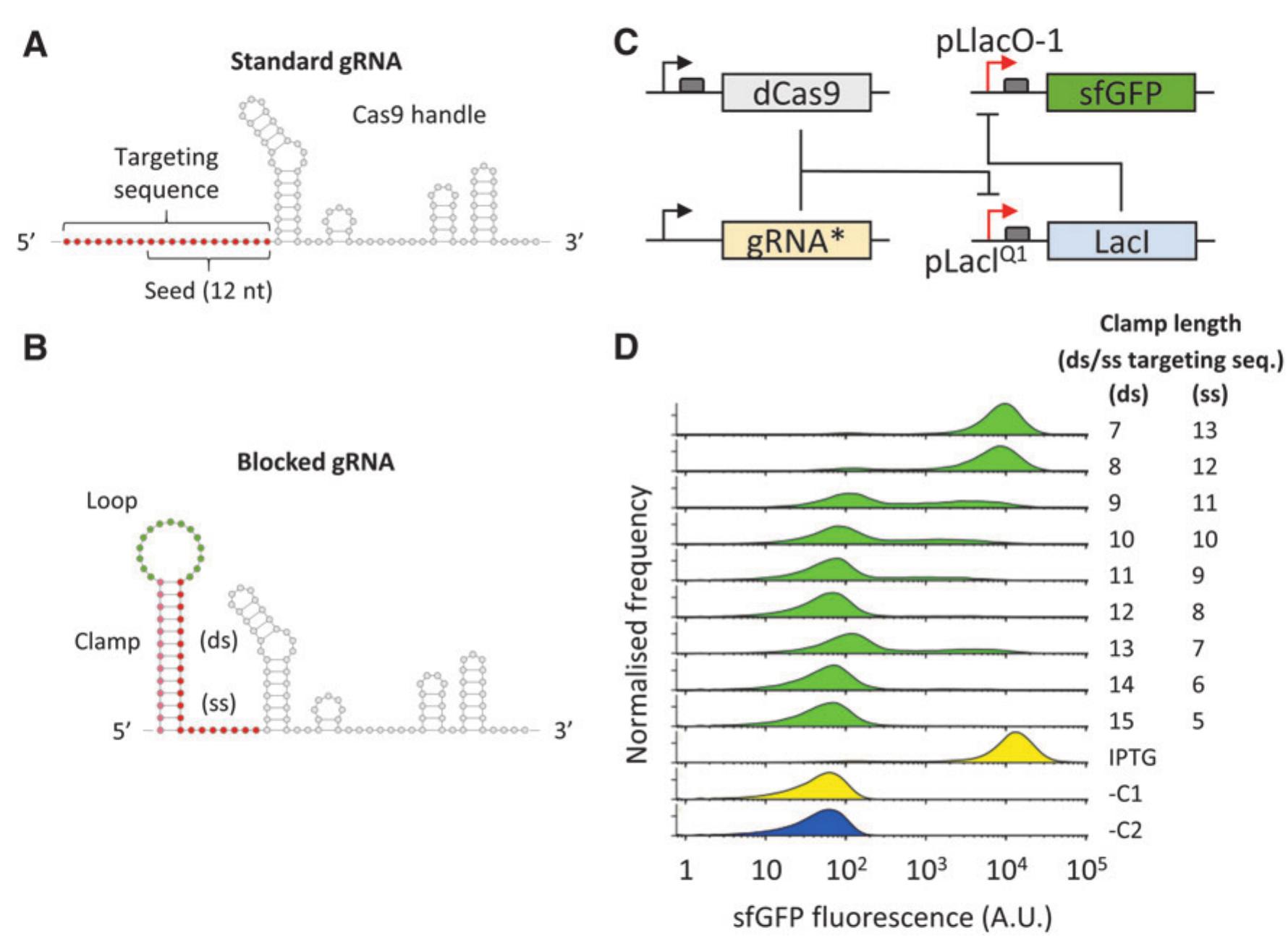 (a) schematic representation of the unmodified