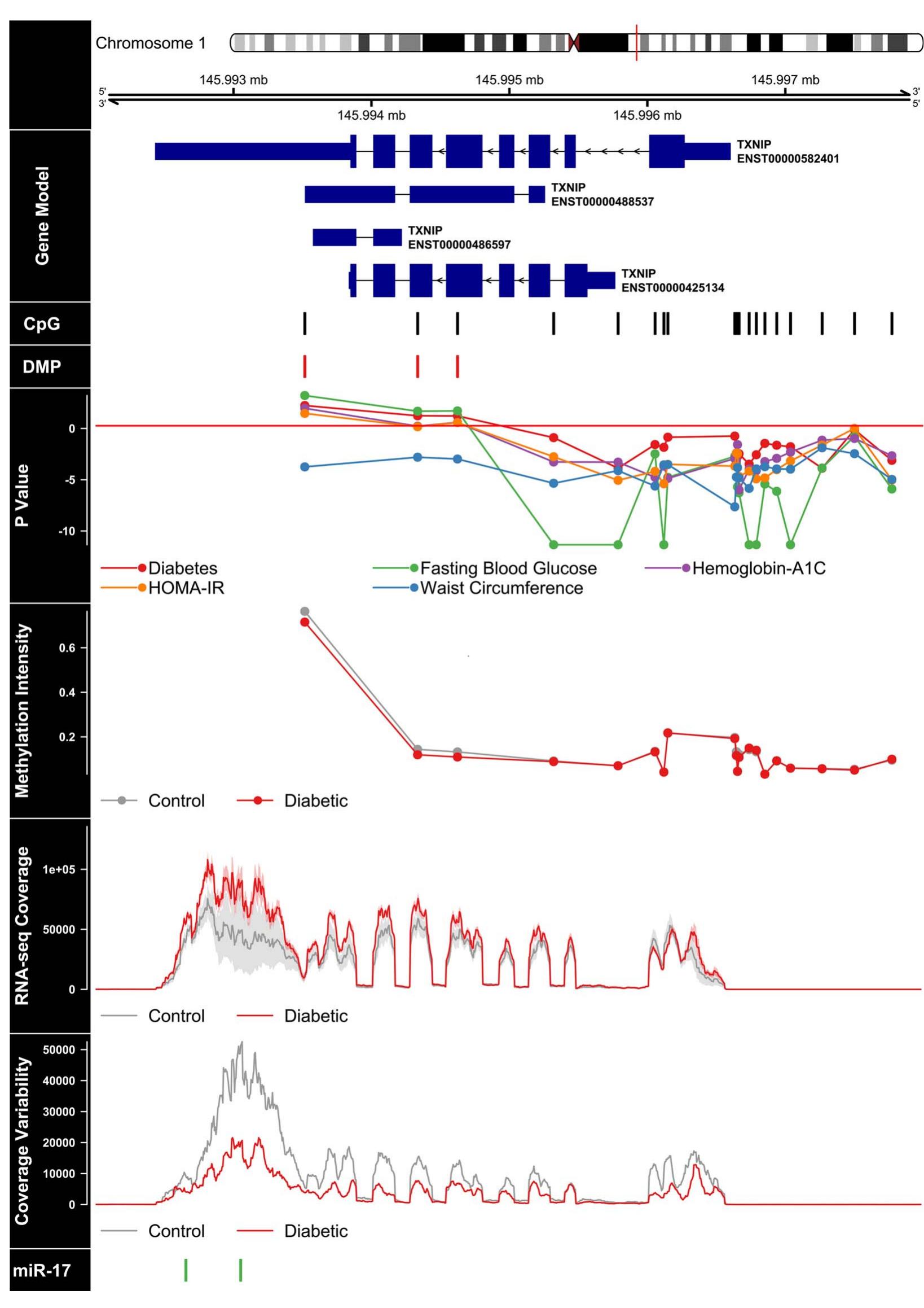 Genomic positions of t2d-associated dmps located at the
