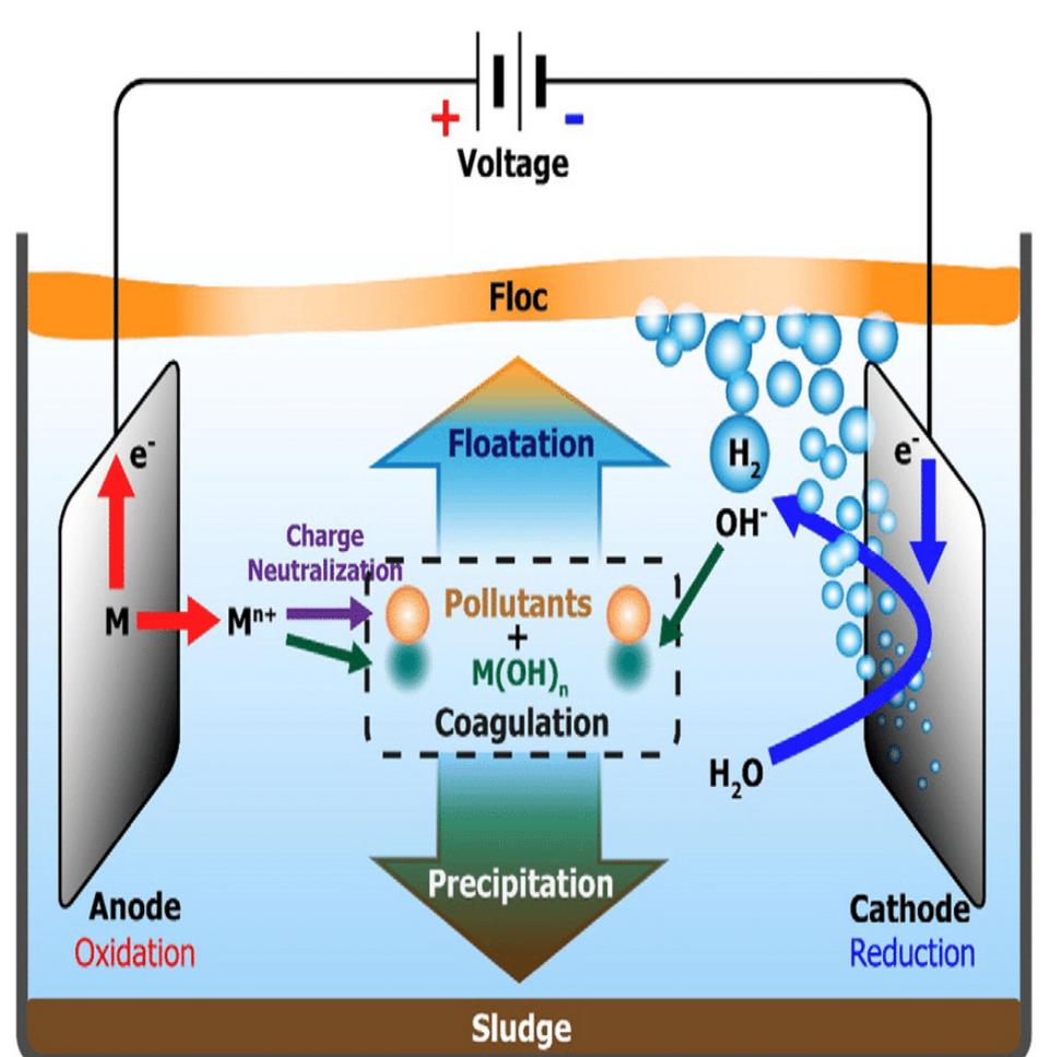 Electrocoagulation mechanism general reactions at cathode