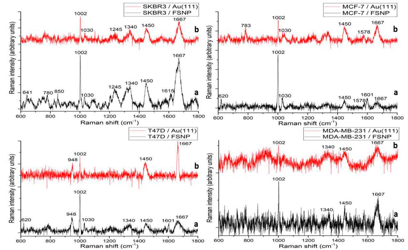 Raman spectra of four different breast cancer cell lines: