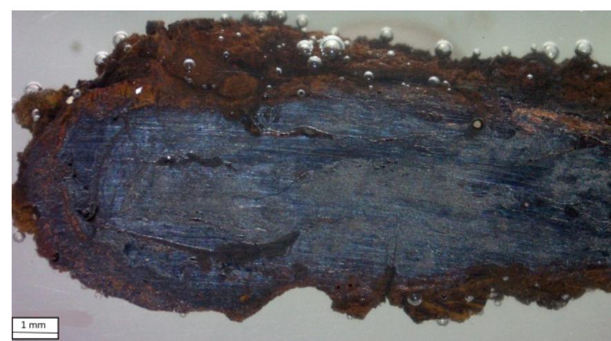 Stereomicroscope image of the dagger’s cross section