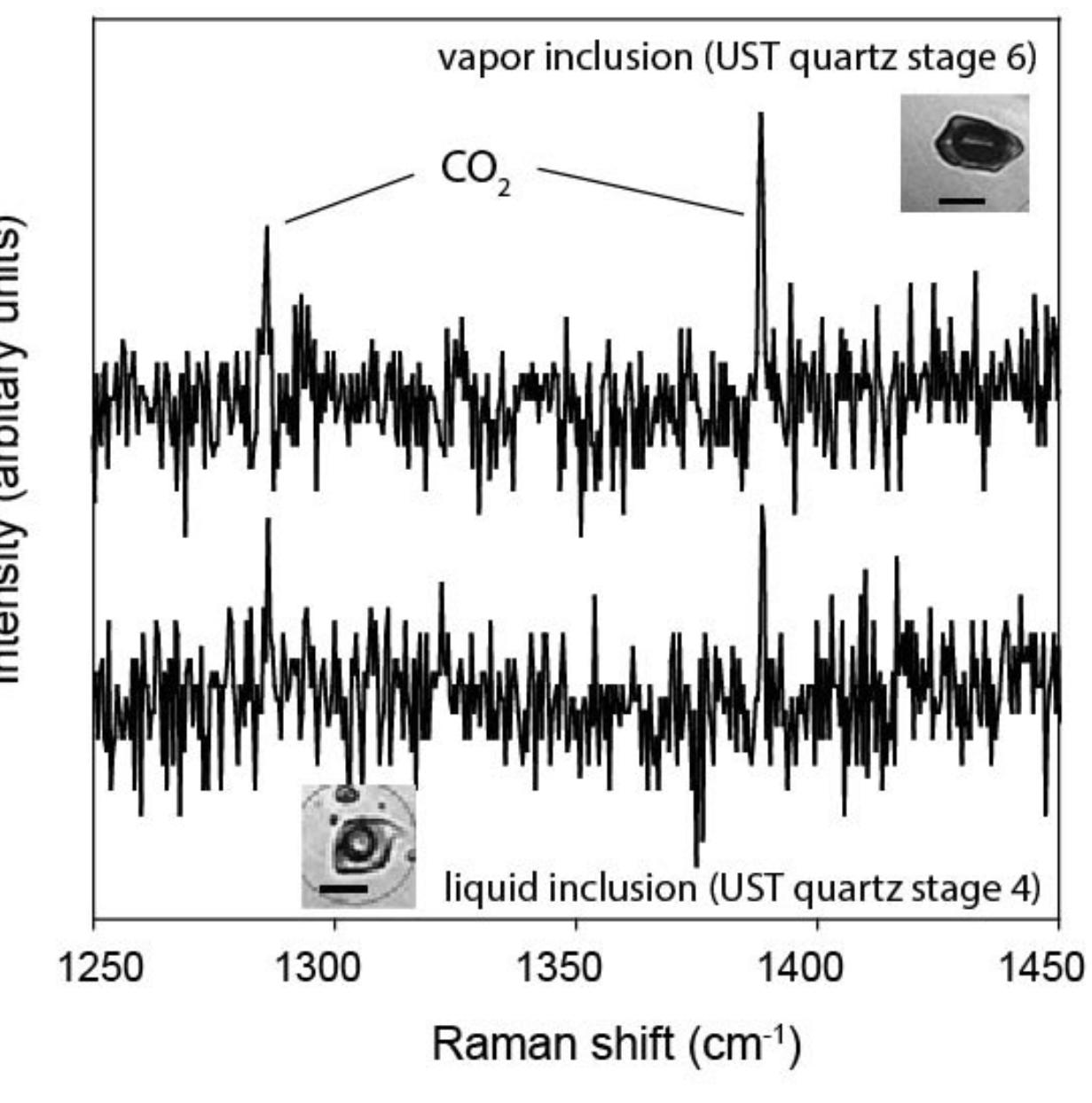 Raman spectra of vapor-rich and liquid-rich inclusions in